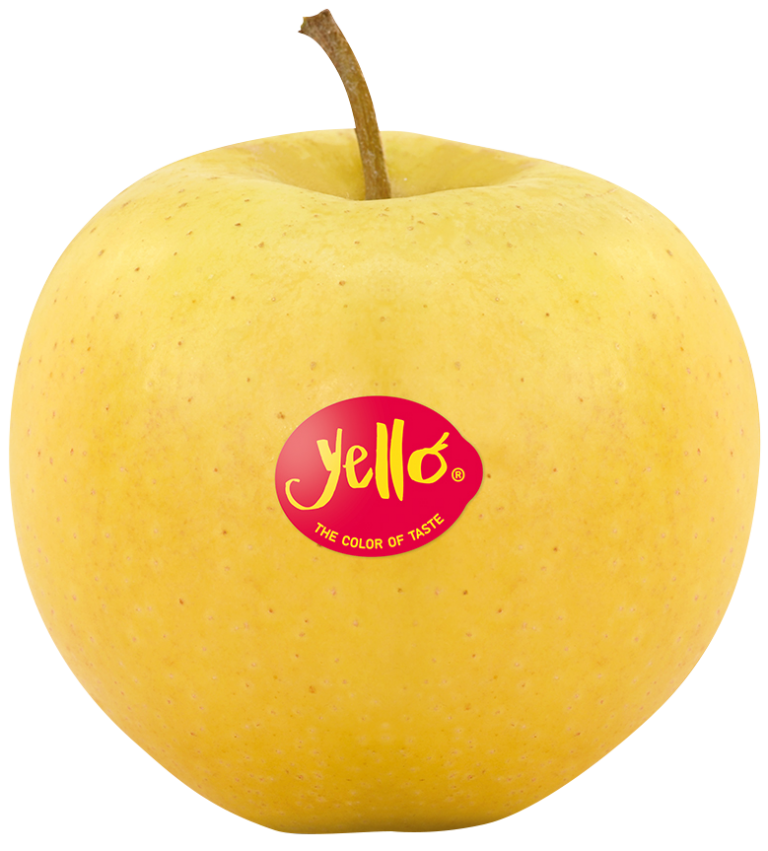 Varieties – Aussie Apples